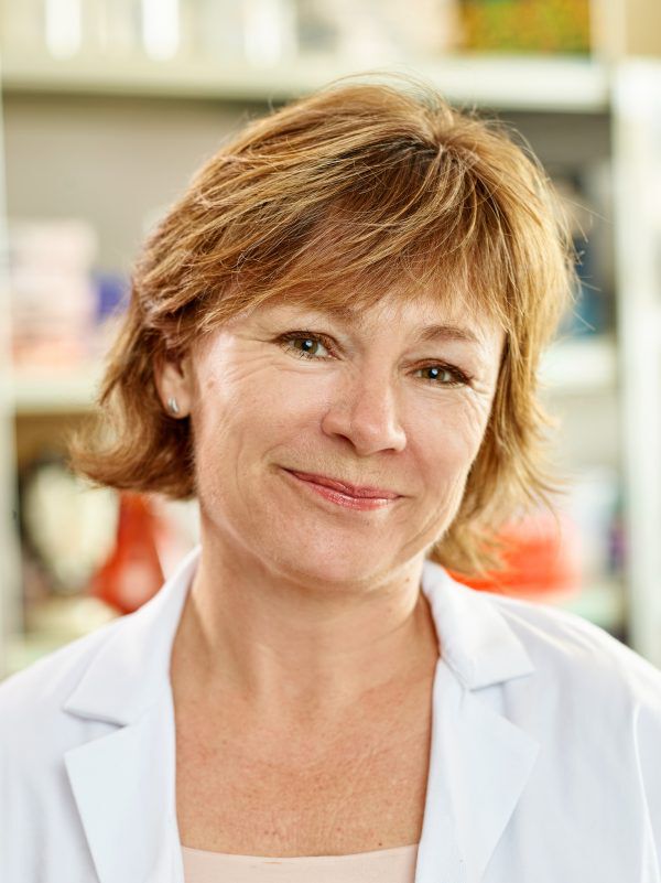 Ansatte og styret - Forskerfabrikken