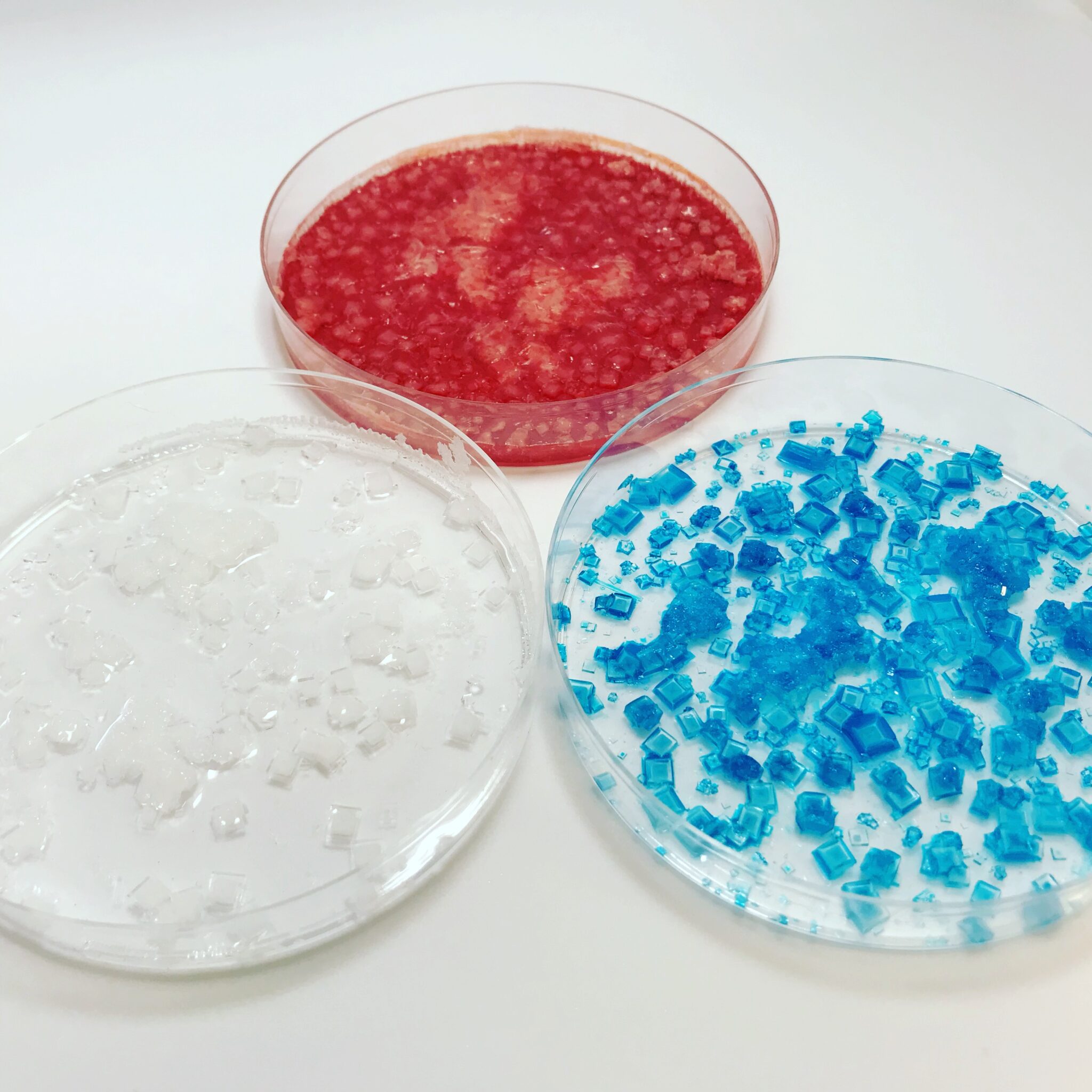 Lette eksperimenter for barn - Forskerfabrikken 2025