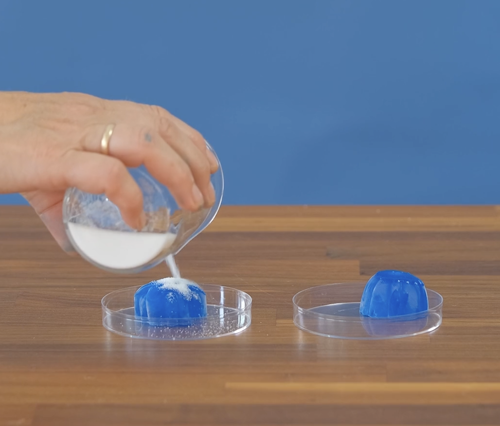 Is og salt - Forskerfabrikken